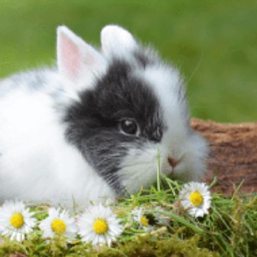 Sort Mart - jetzt kostenlos online spielen!