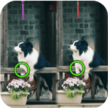 Find 500 Differences Game - Play online for free